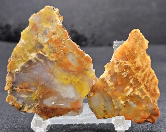 Opalized Petrified Wood From Arizona, Lapidary Slab, Stabilized in ...