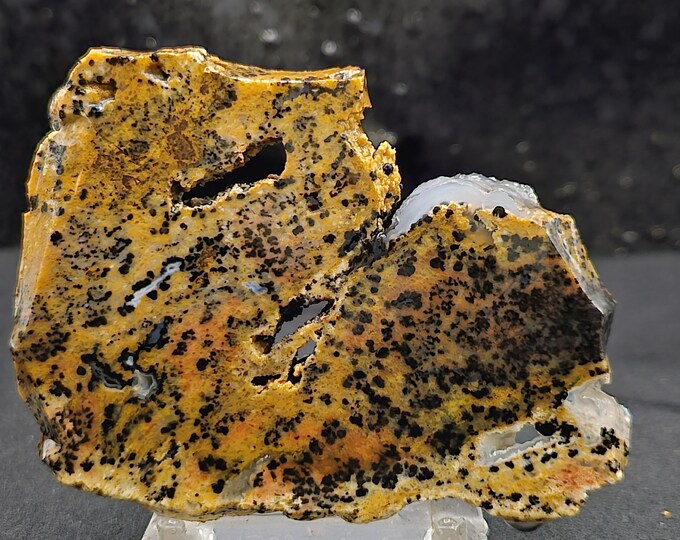 Cheetah Stone From Brazil, Lapidary Slab, TAPERED, Natural Stone for ...