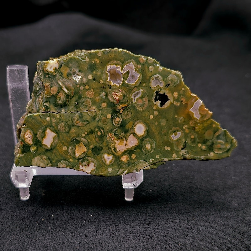 Rainforest Jasper Cabs - Etsy