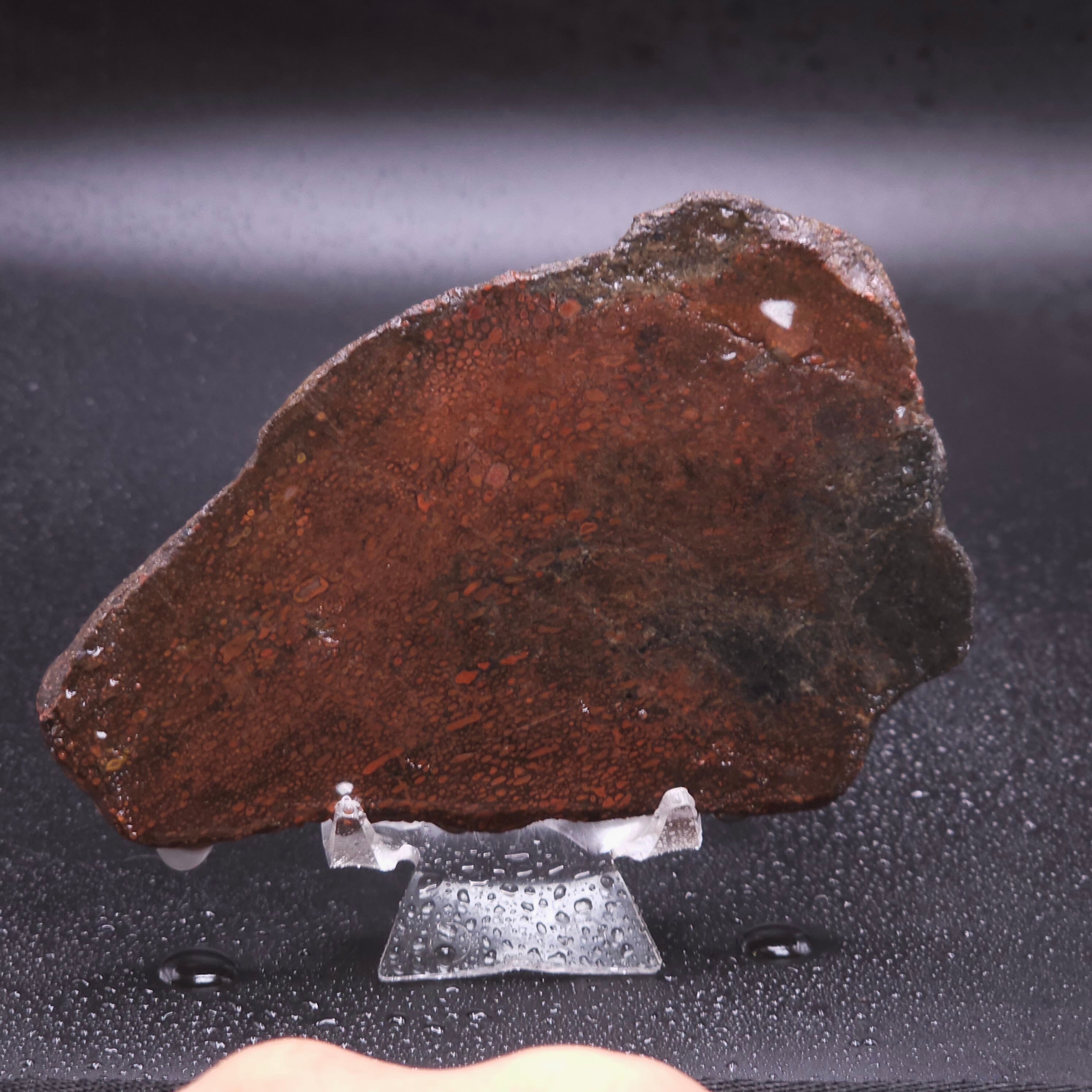 Premium Dino Bone From Utah, Lapidary Slab, Natural Stone for Cabbing ...