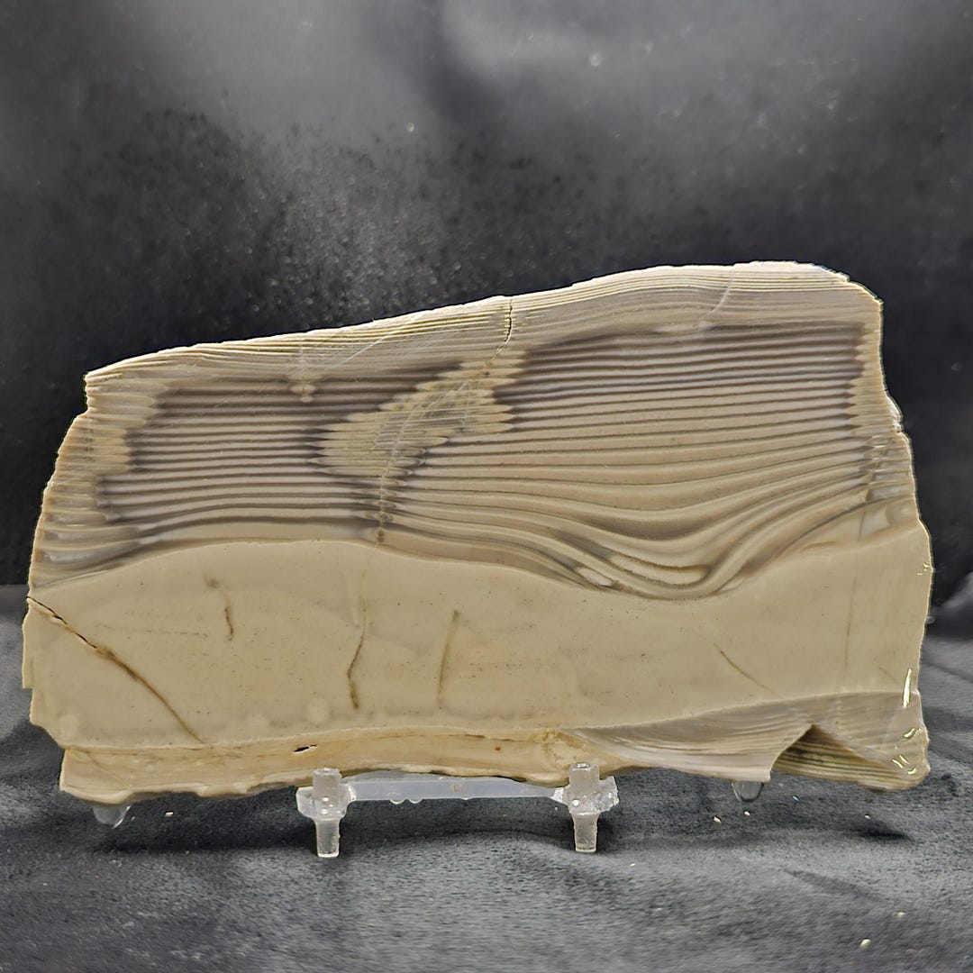 Polish Flint From Poland, Lapidary Slab, Stabilized in Cactus Juice ...