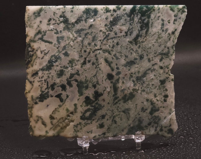Tree Agate From Asia, Lapidary Slab, Natural Stone for Cabbing, Not ...