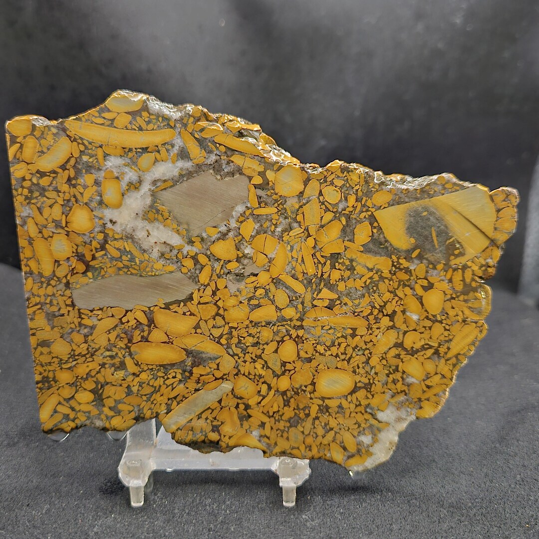 Bamboo Jasper From Brazil, Lapidary Slab, Natural Stone for Cabbing ...