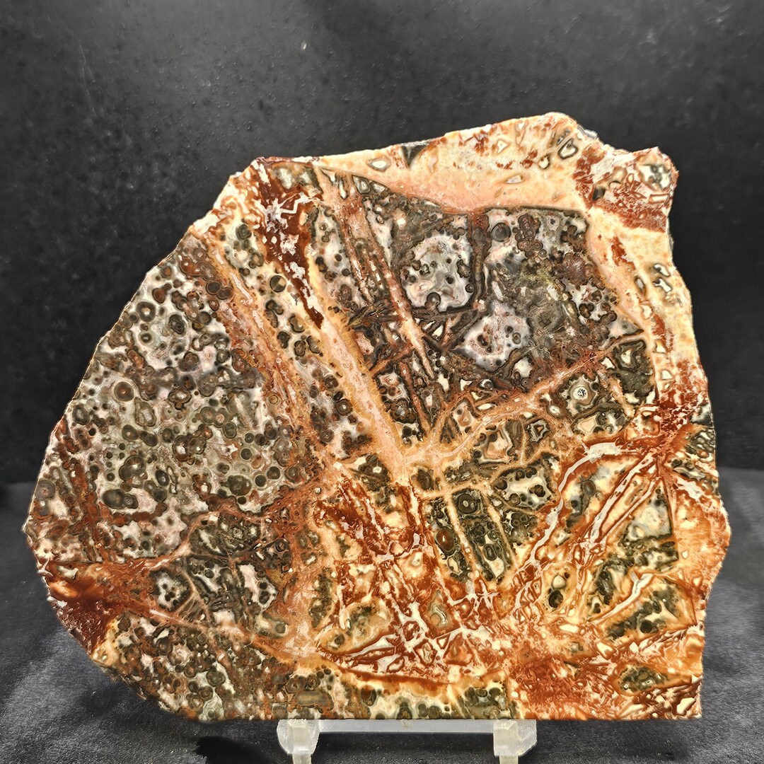 Leopard Skin Jasper From Mexico, Lapidary Slab, Natural Stone for ...