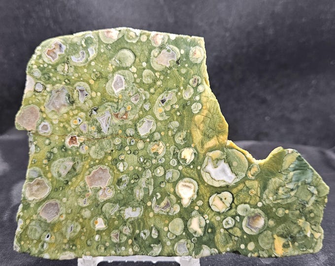 Rainforest Jasper From Australia, Lapidary Slab END CUT, Stabilized ...