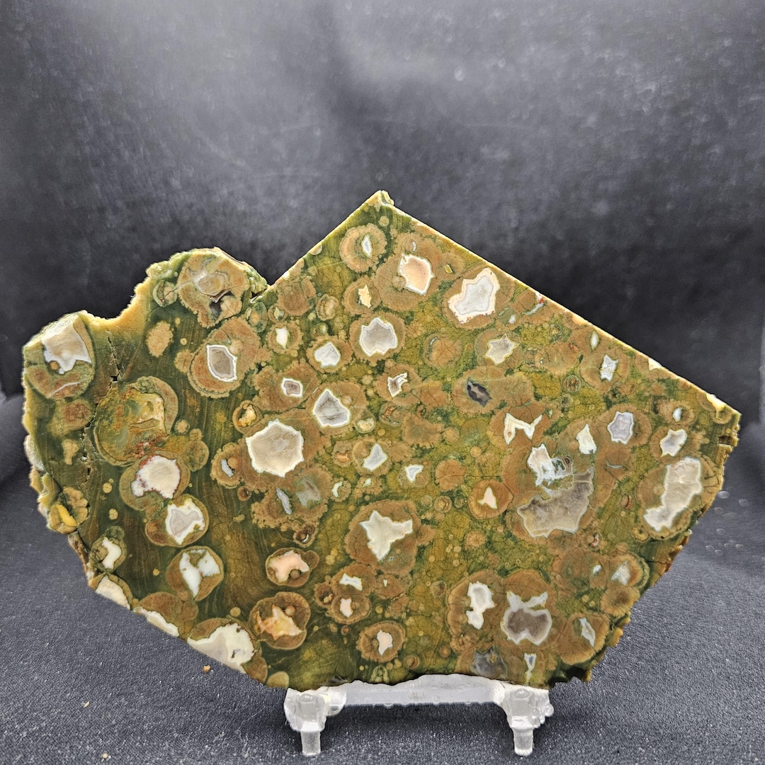 Rainforest Jasper From Australia, Lapidary Slab, Natural Stone for ...