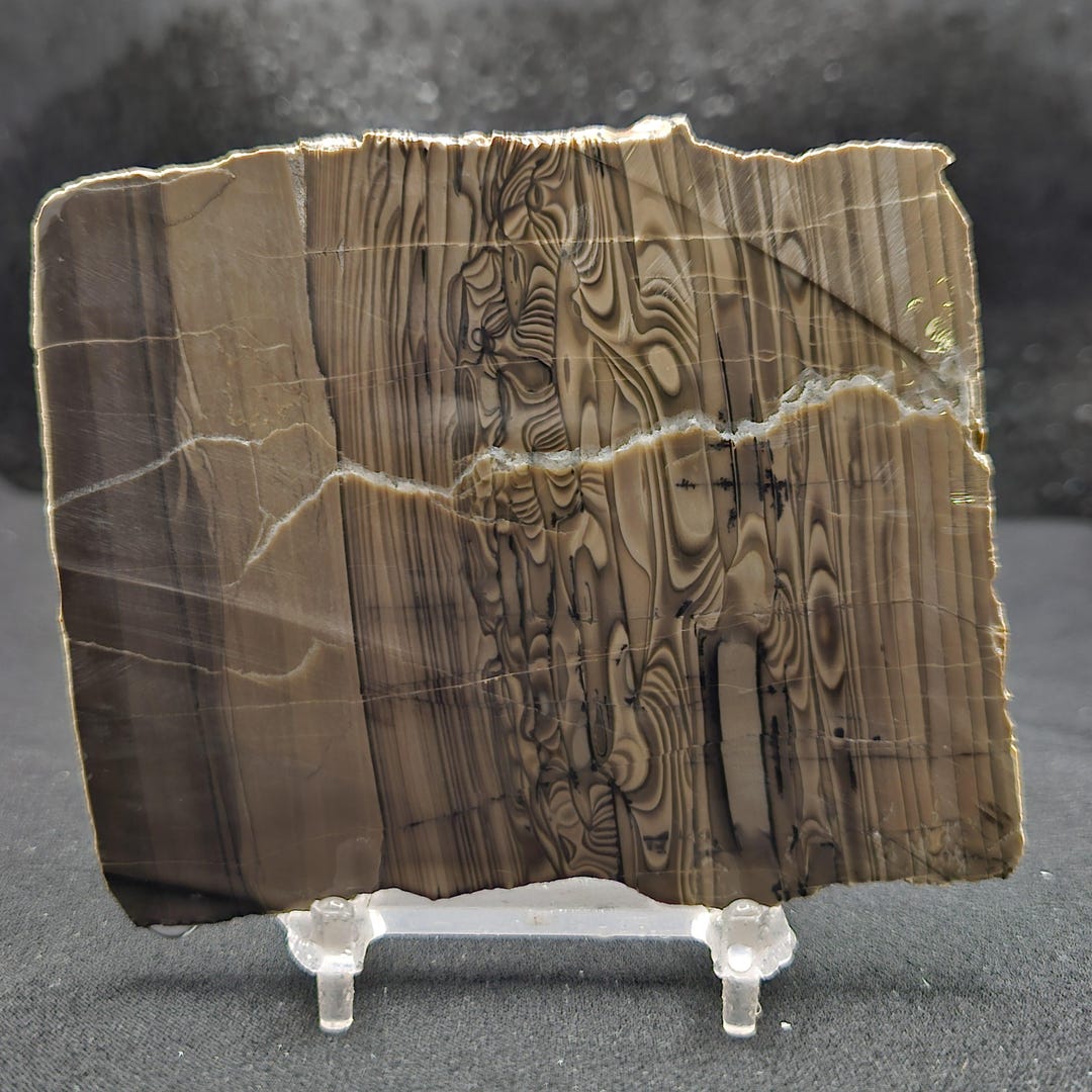 Zebra Coffee Rock From China, Lapidary Slab, Stabilized in Cactus Juice ...