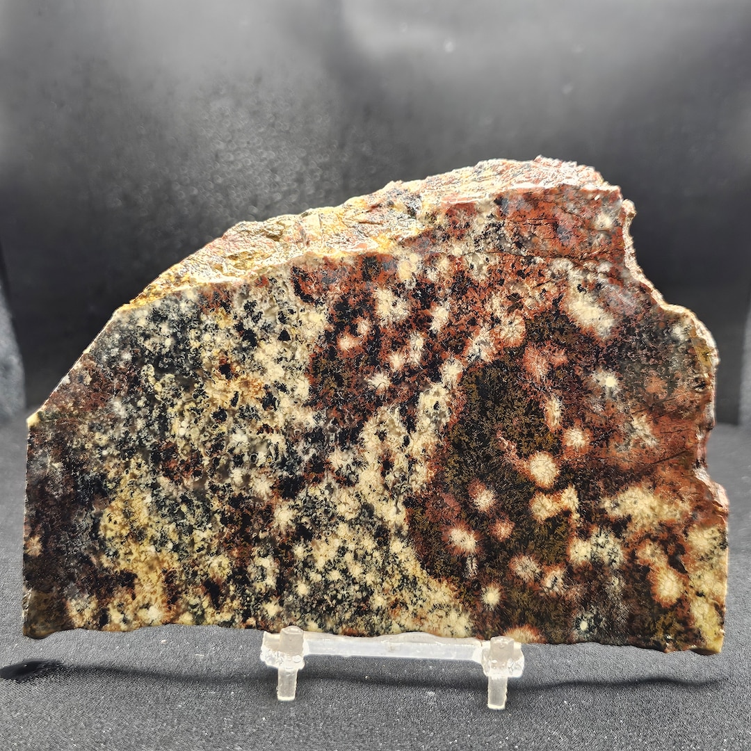 Hornitos Poppy Jasper From California, Lapidary Slab, TAPERED, Natural ...