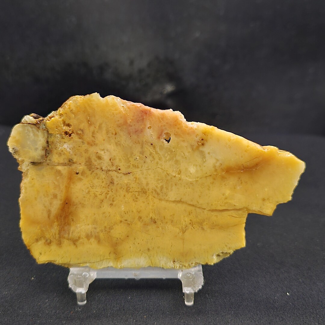 Feather Ridge Plume Agate From Oregon, Lapidary Slab, Natural Stone for ...