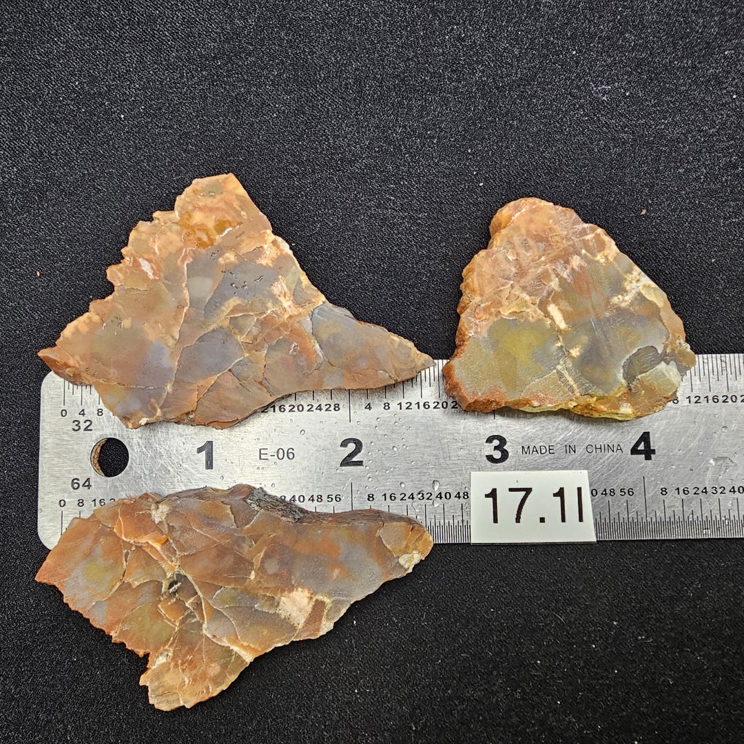 Opalized Petrified Wood From Arizona, Lapidary Slabs, Stabilized in ...