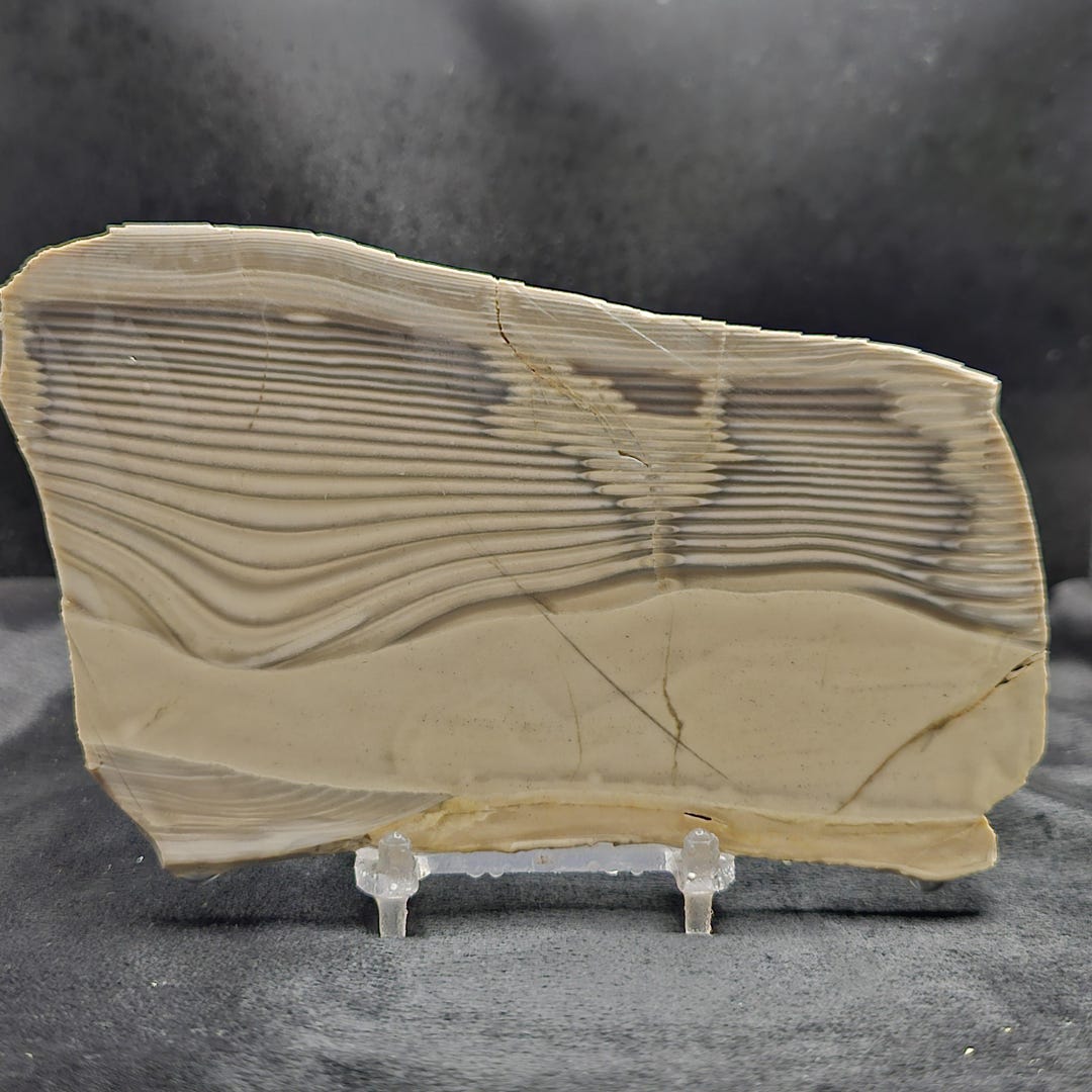 Polish Flint From Poland, Lapidary Slab, Stabilized in Cactus Juice ...