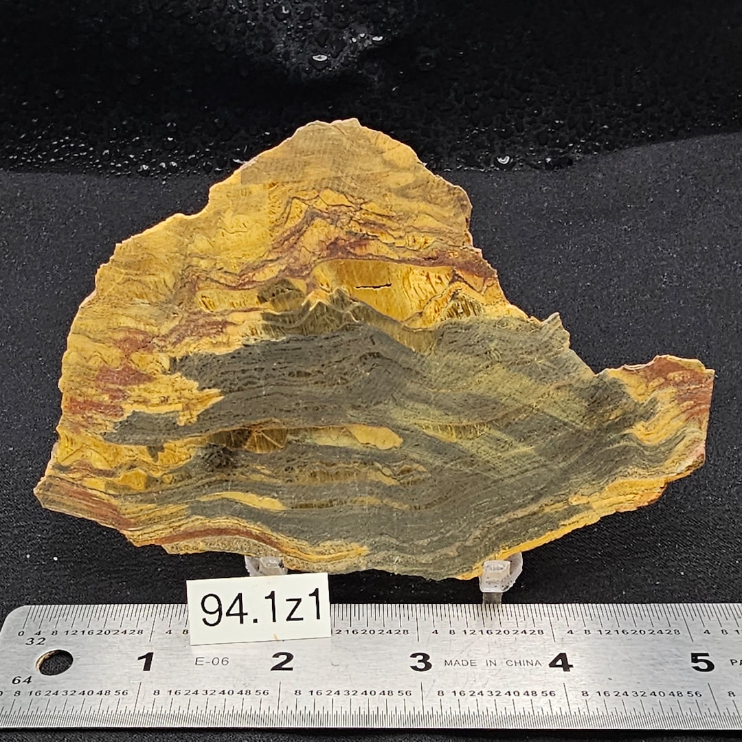 Mara Mamba From Australia, END CUT Stabilized With Cactus Juice ...