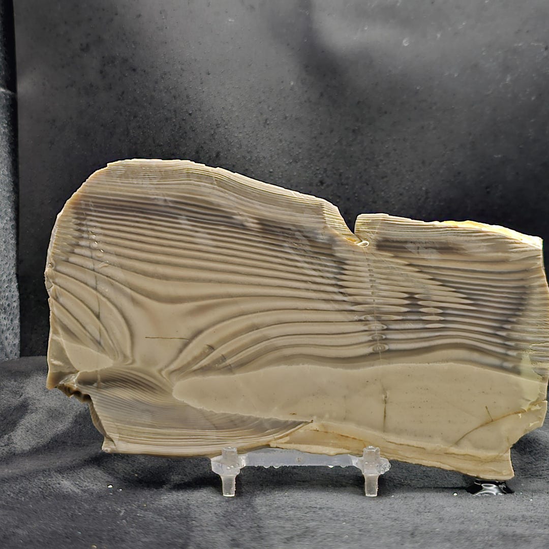 Polish Flint From Poland, Lapidary Slab, Stabilized in Cactus Juice ...