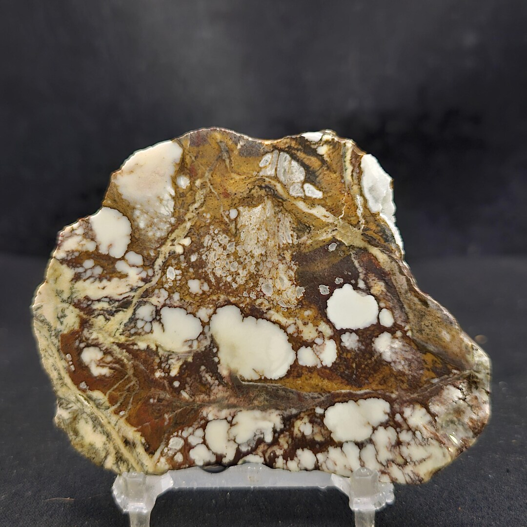White Horse Jasper From Arizona, Tapered Lapidary Slab, Natural Stone ...