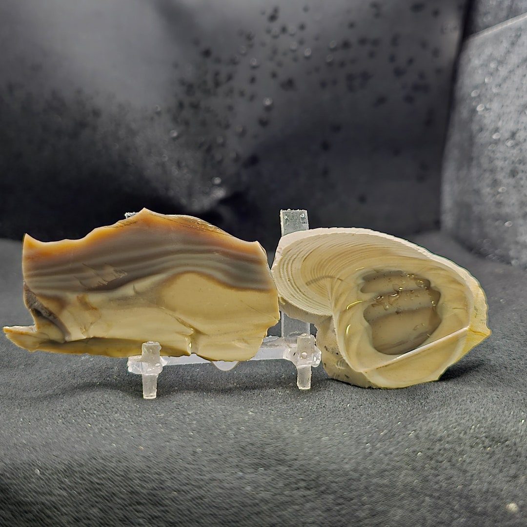 Polish Flint From Poland, Lapidary Slab, Natural Stone for Cabbing, Not ...