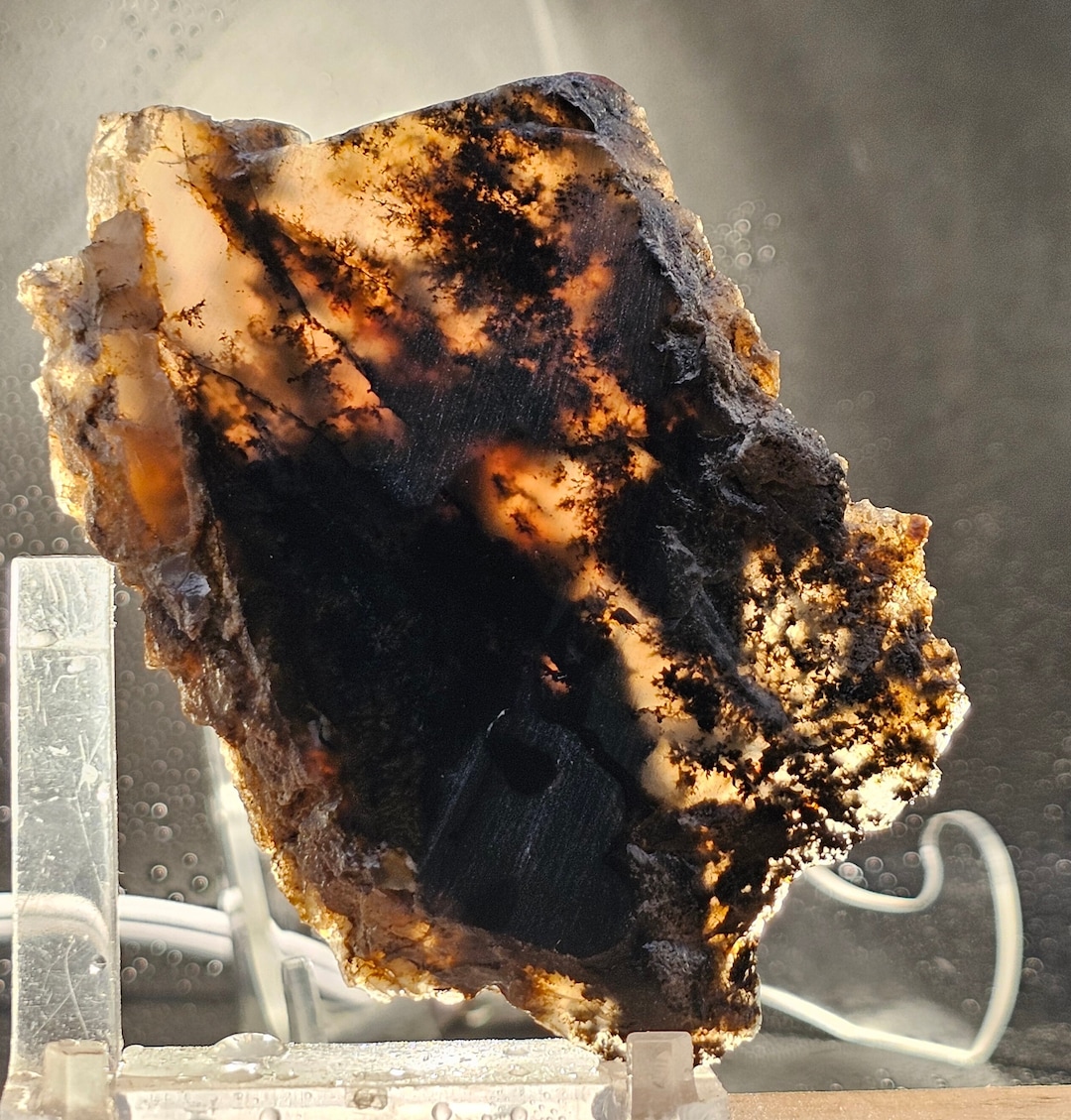 Moss Agate From Unknown, Lapidary Slab, Natural Stone for Cabbing, Not ...