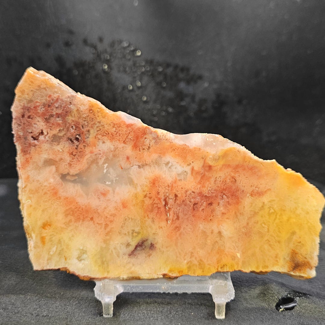 Feather Ridge Plume Agate From Oregon, Lapidary Slab, Natural Stone for ...