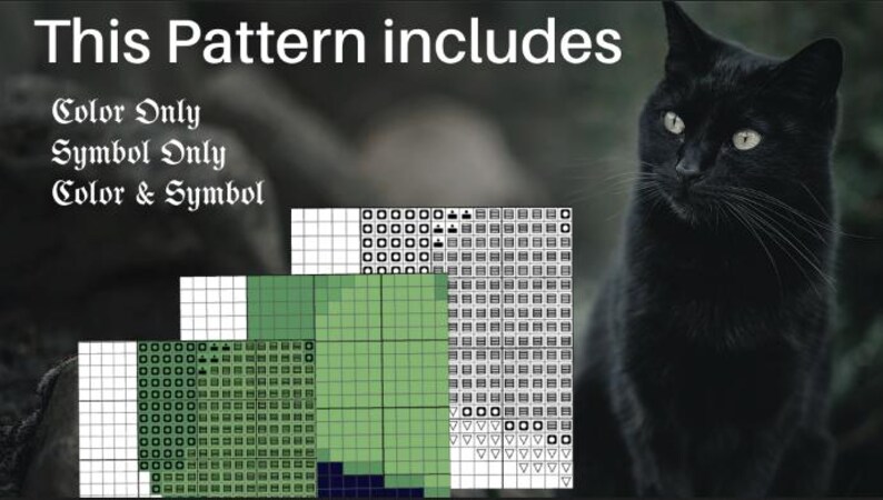 Tarin & Andarna, 4th Wing - Etsy