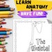 Arm Coloring Sheets Learn Basic Anatomy Instant Download - Etsy