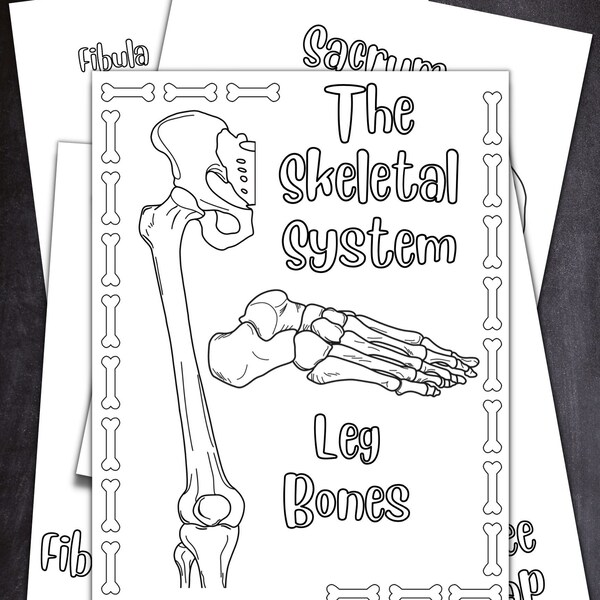 Leg Worksheets - Etsy