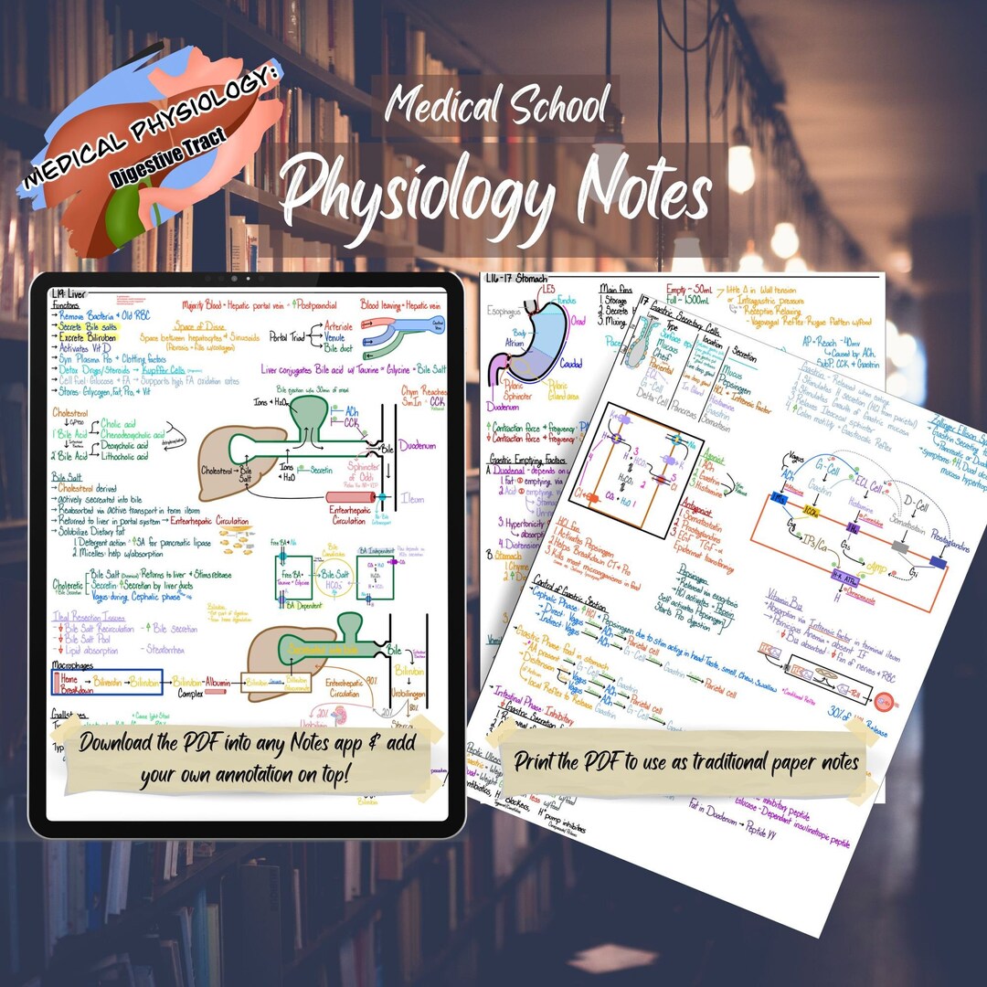 Digestive Physiology Digital Notes, Diagrams, and Tables for Medical ...