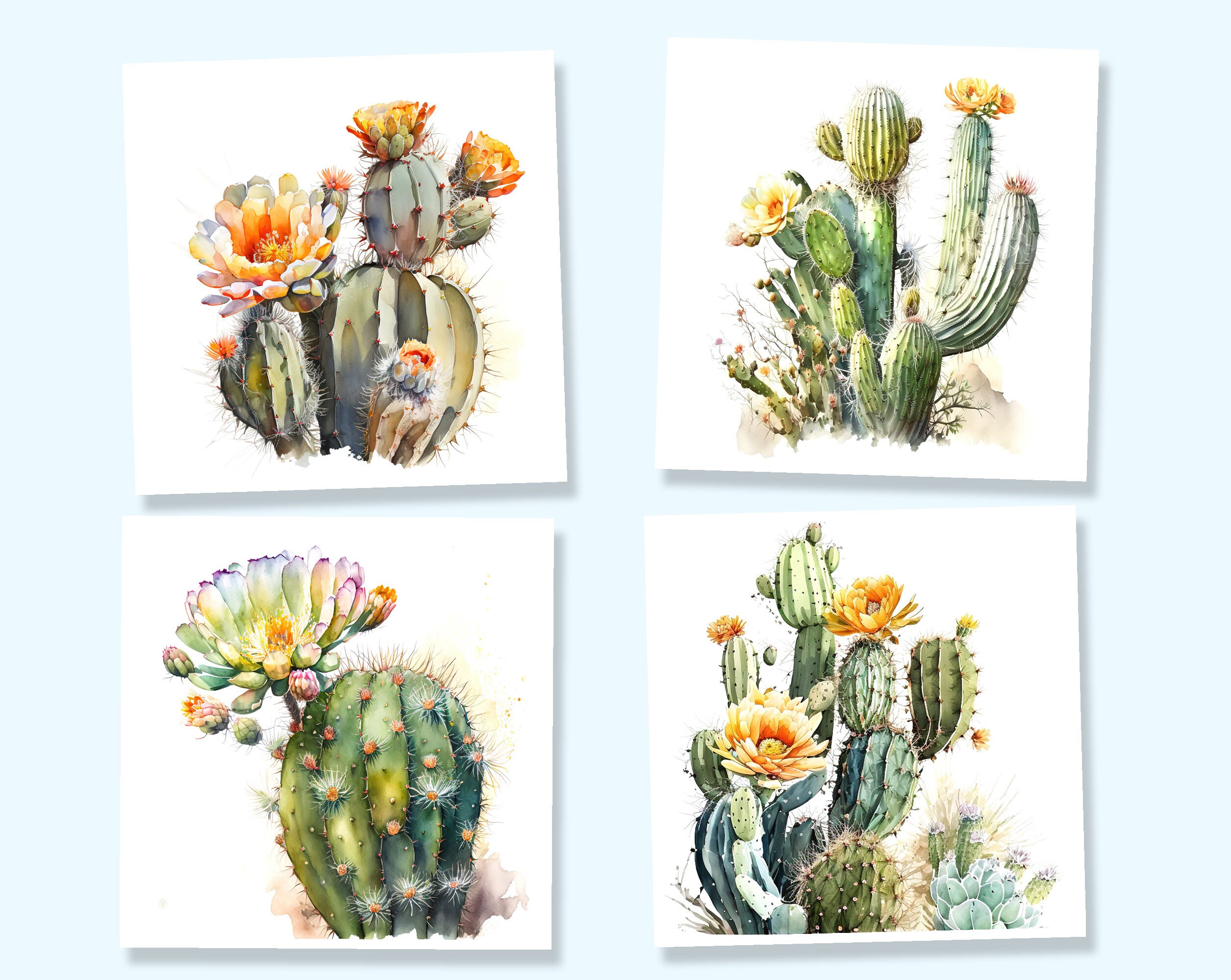Saguaro Cactus Blossom Watercolor - 12 High Quality Jpgs - Digital ...