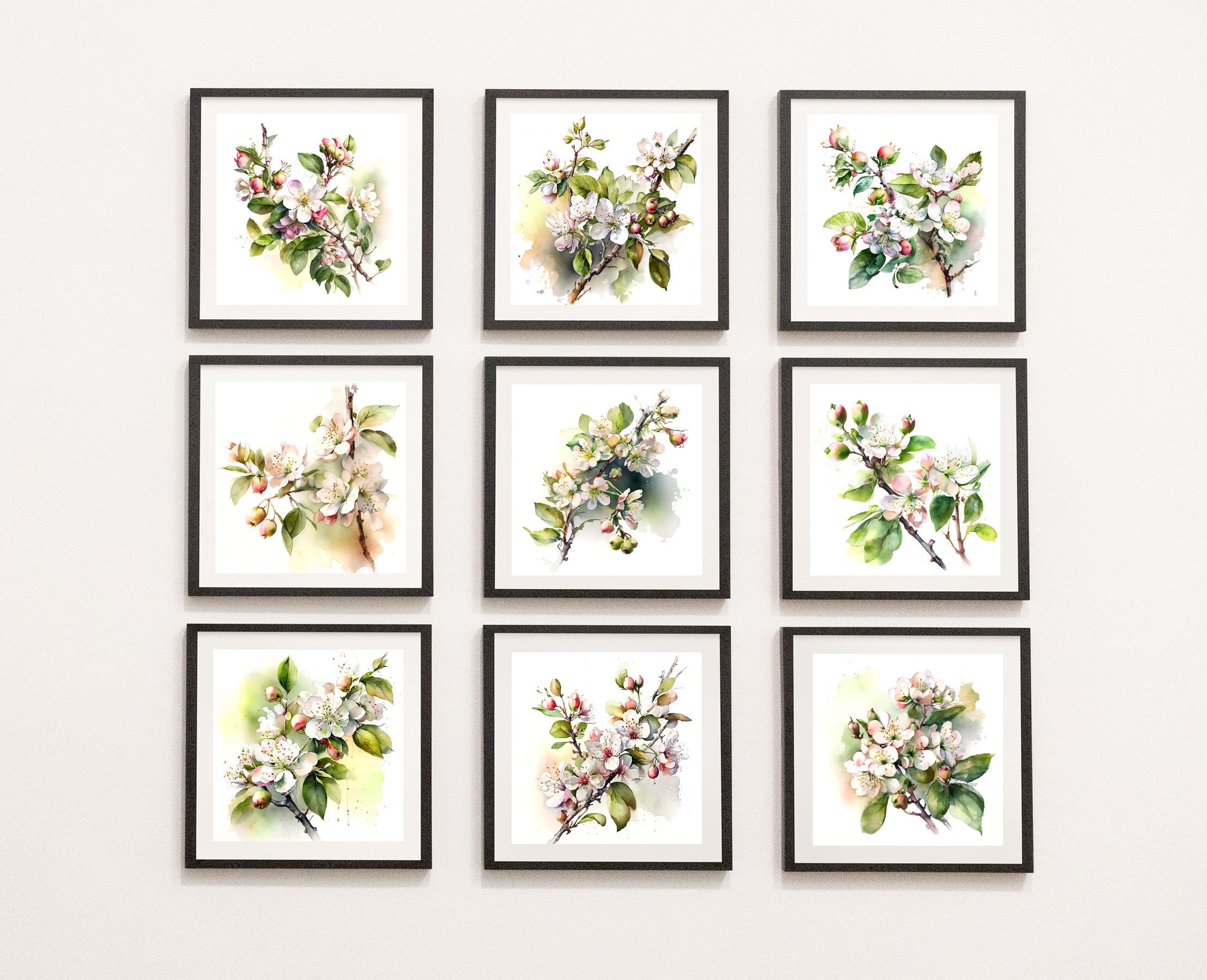 Apple Blossom Watercolor - 12 High Quality Jpgs - Digital Download ...