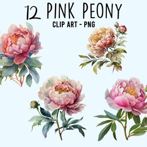 Watercolor Pink Peony Clipart - Floral Digital Art Card Making, Mixed ...