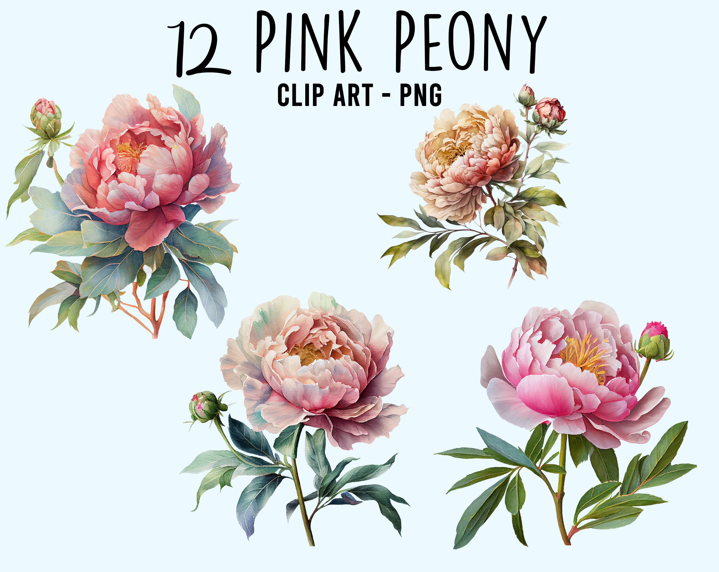 Watercolor Pink Peony Clipart Floral Digital Art Card Making, Mixed ...