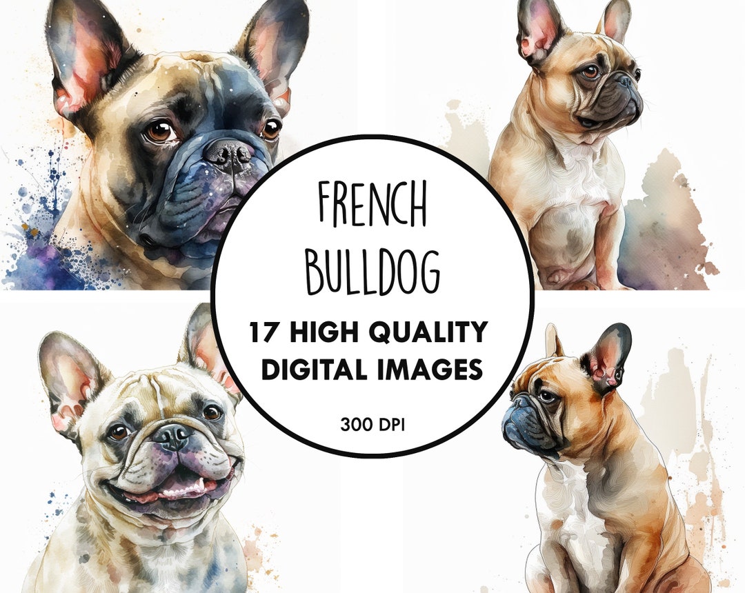 French Bulldog Watercolor - 17 High Quality Jpgs - Digital Download ...