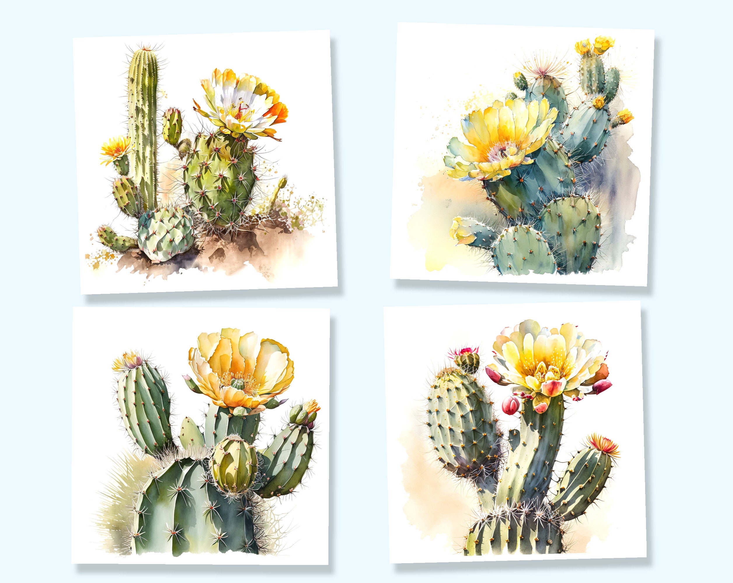 Saguaro Cactus Blossom Watercolor - 12 High Quality Jpgs - Digital ...