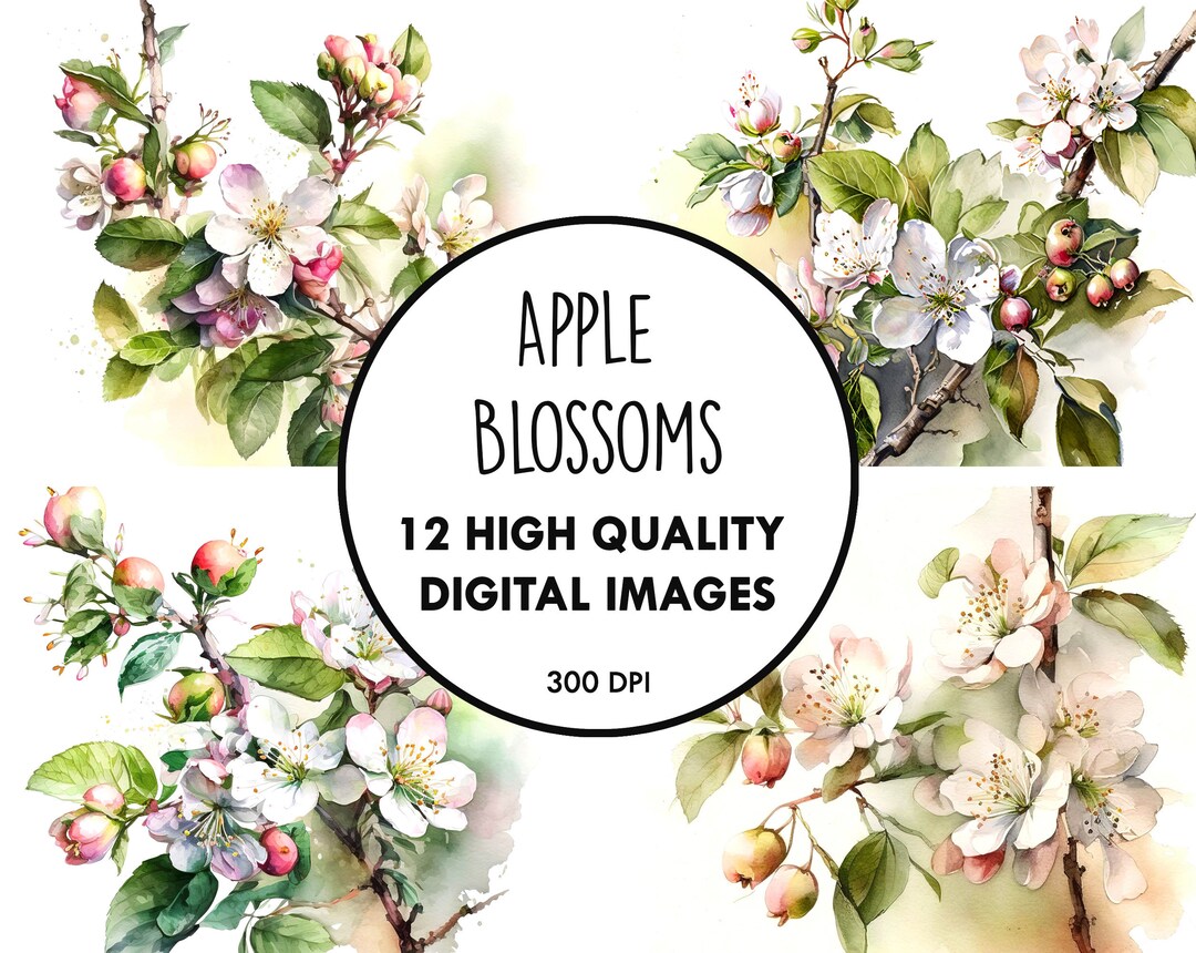 Apple Blossom Watercolor - 12 High Quality Jpgs - Digital Download ...