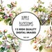 Apple Blossom Watercolor - 12 High Quality Jpgs - Digital Download ...