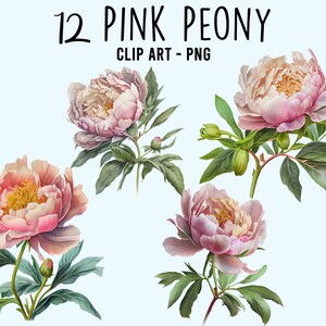 Watercolor Pink Peony Clipart - Floral Digital Art Card Making, Mixed ...