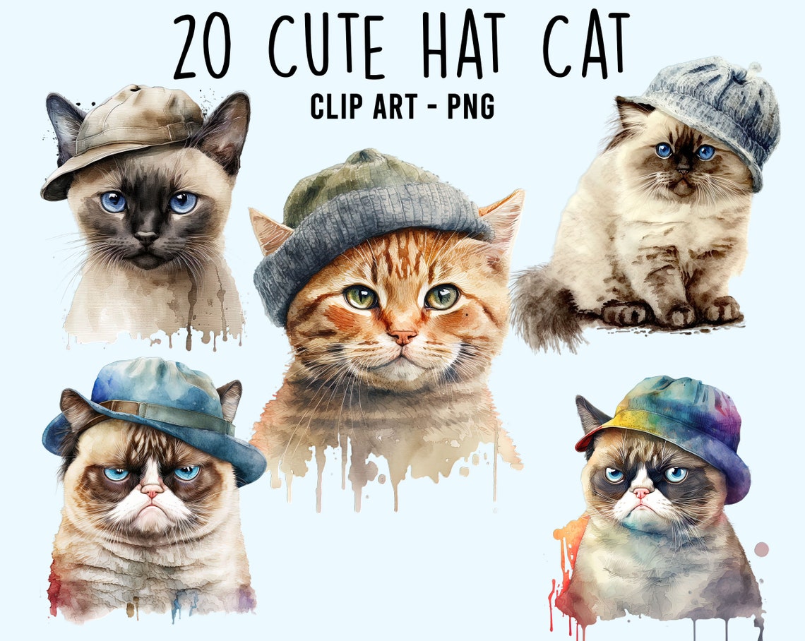 Watercolor Cute Cat Hat Clipart Kawaii Kitten Funny Grumpy Cat Digital ...