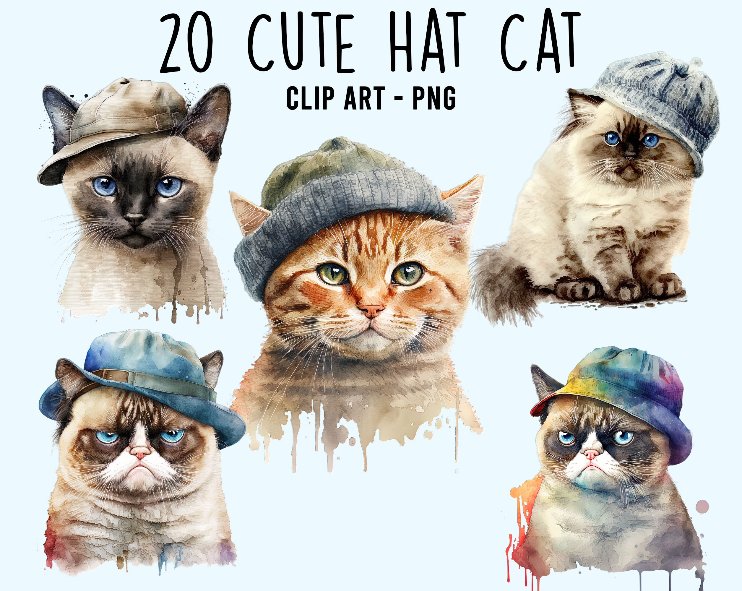 Watercolor Cute Cat Hat Clipart Kawaii Kitten Funny Grumpy Cat Digital ...