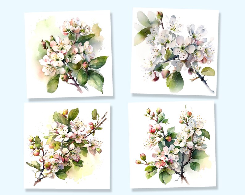 Apple Blossom Watercolor - 12 High Quality Jpgs - Digital Download ...