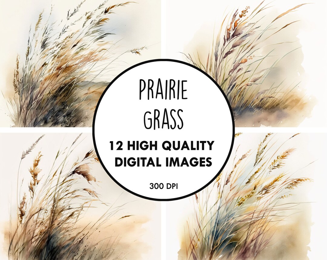 Prairie Grass Watercolor - 12 High Quality Jpgs - Digital Download ...