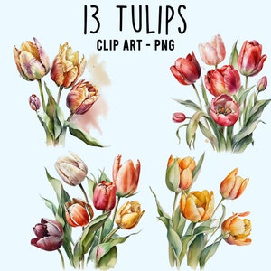 Watercolor Tulips Clipart - Easter Spring Floral Digital Art Card ...