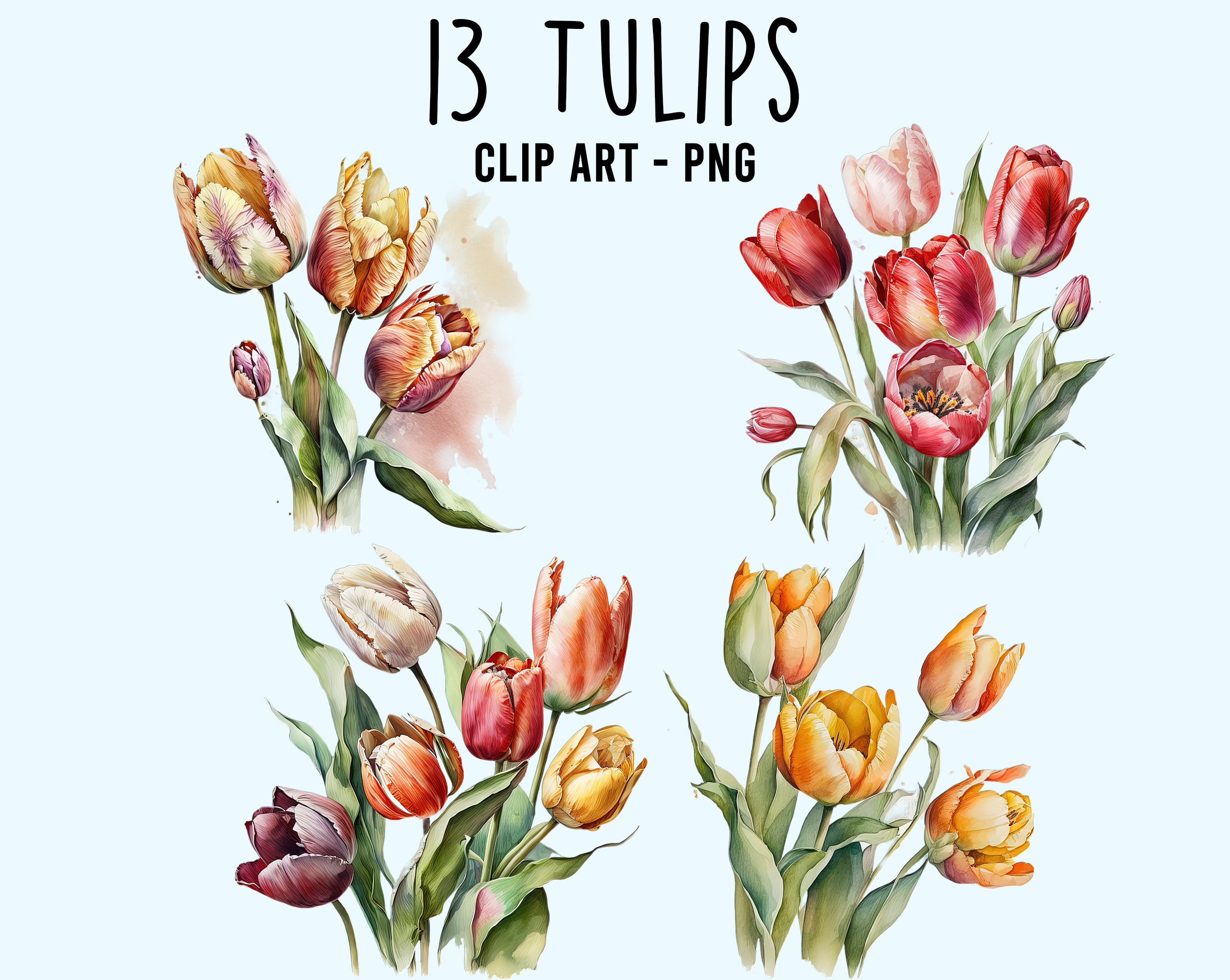 Watercolor Tulips Clipart - Easter Spring Floral Digital Art Card ...