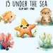Watercolor Under the Sea Clipart - Fish, Sea Animal, Dolphin Cute ...