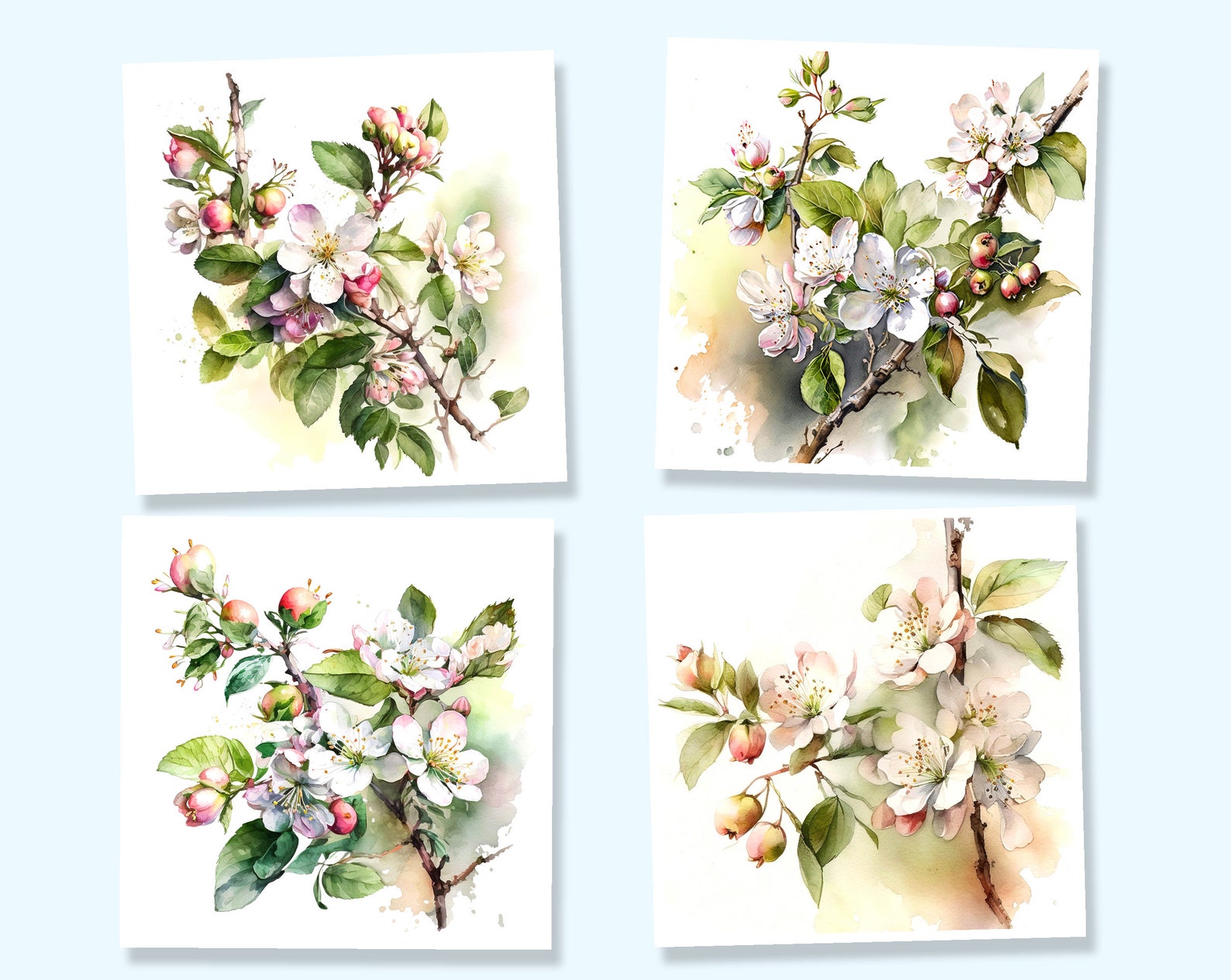 Apple Blossom Watercolor - 12 High Quality Jpgs - Digital Download ...