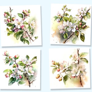 Apple Blossom Watercolor - 12 High Quality Jpgs - Digital Download ...