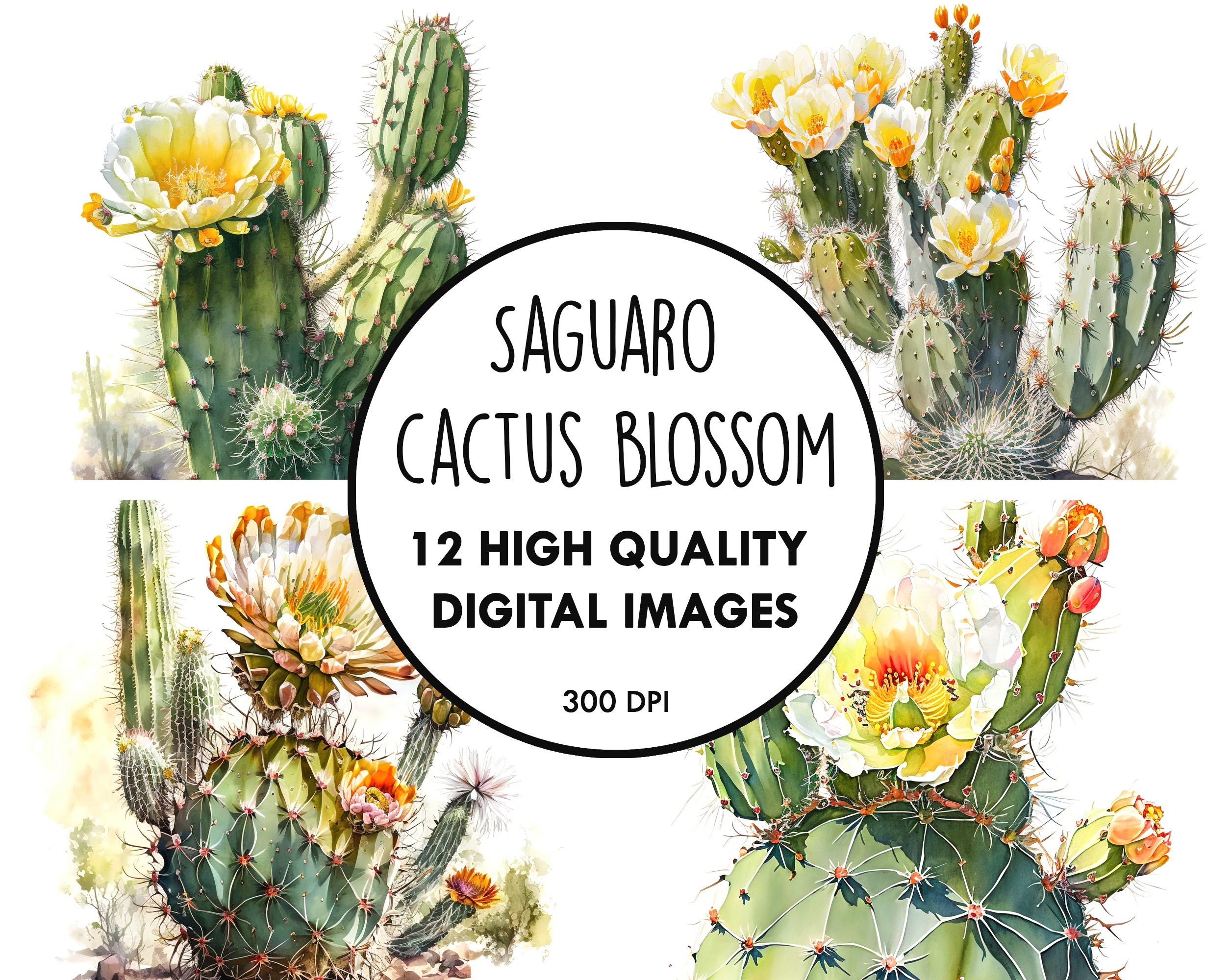Saguaro Cactus Blossom Watercolor - 12 High Quality Jpgs - Digital ...