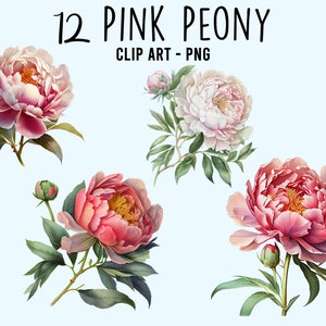 Watercolor Pink Peony Clipart - Floral Digital Art Card Making, Mixed ...