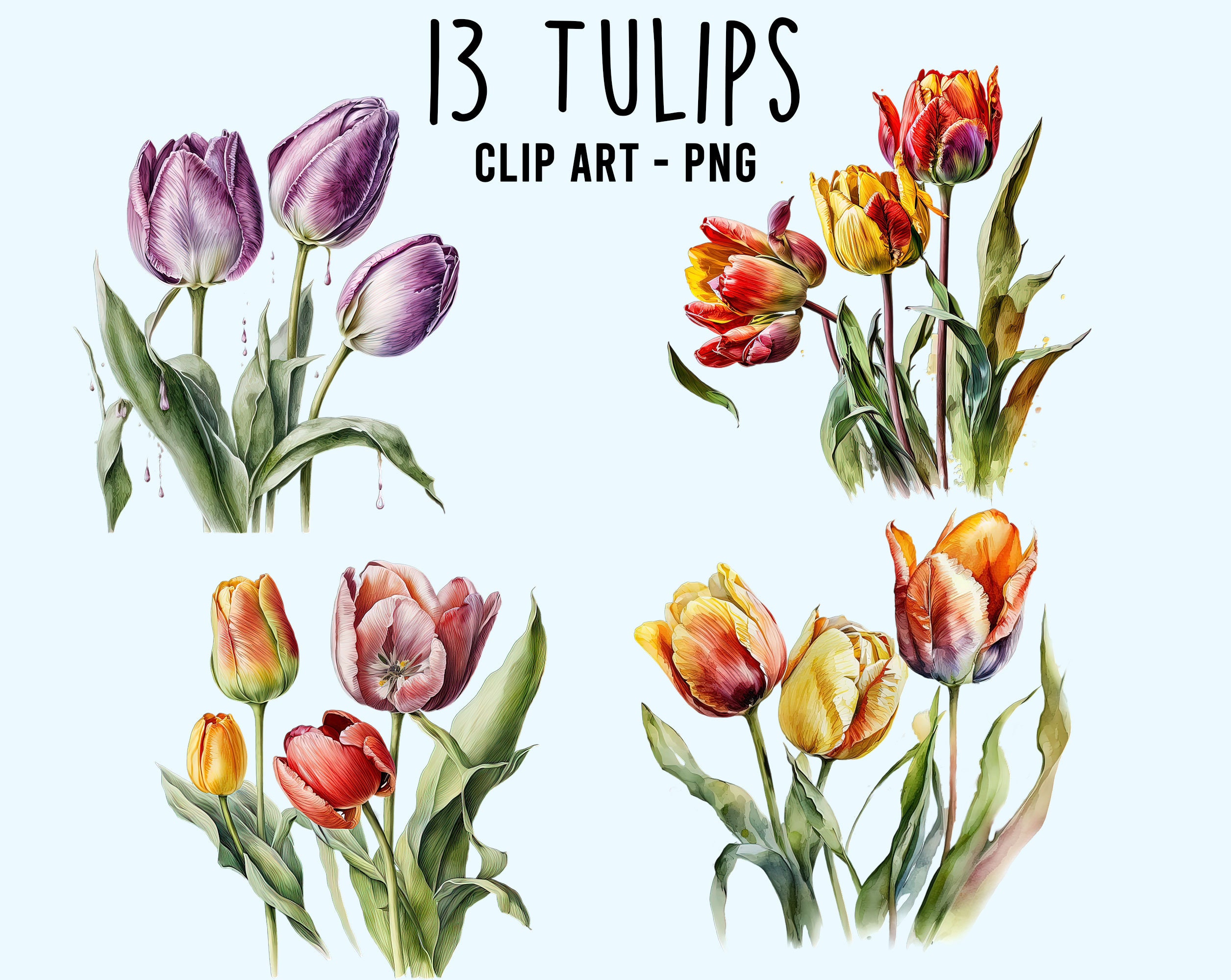 Watercolor Tulips Clipart - Easter Spring Floral Digital Art Card ...