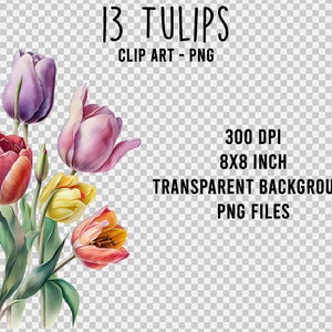 Watercolor Tulips Clipart - Easter Spring Floral Digital Art Card ...