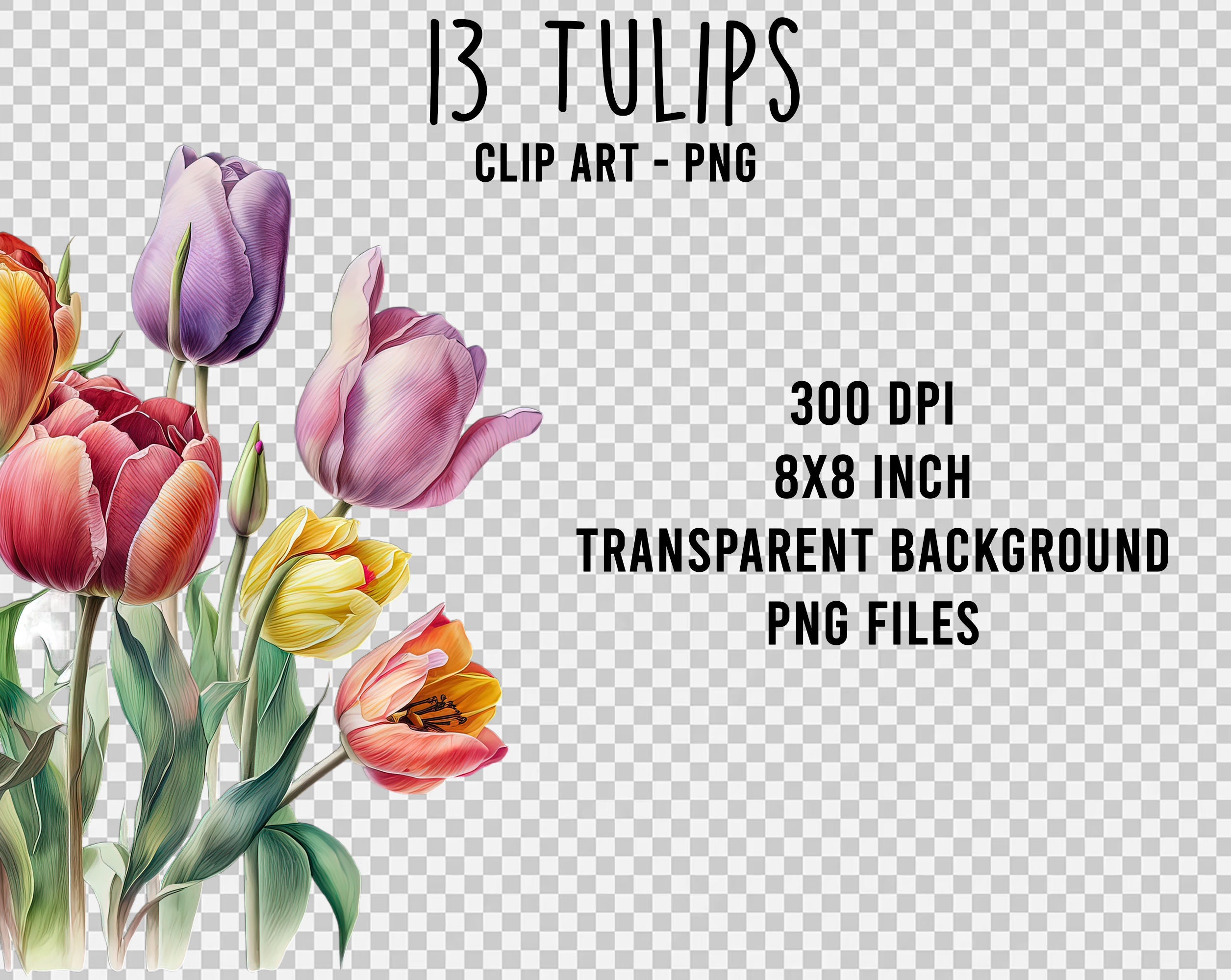 Watercolor Tulips Clipart - Easter Spring Floral Digital Art Card ...
