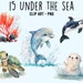 Watercolor Under the Sea Clipart - Fish, Sea Animal, Dolphin Cute ...