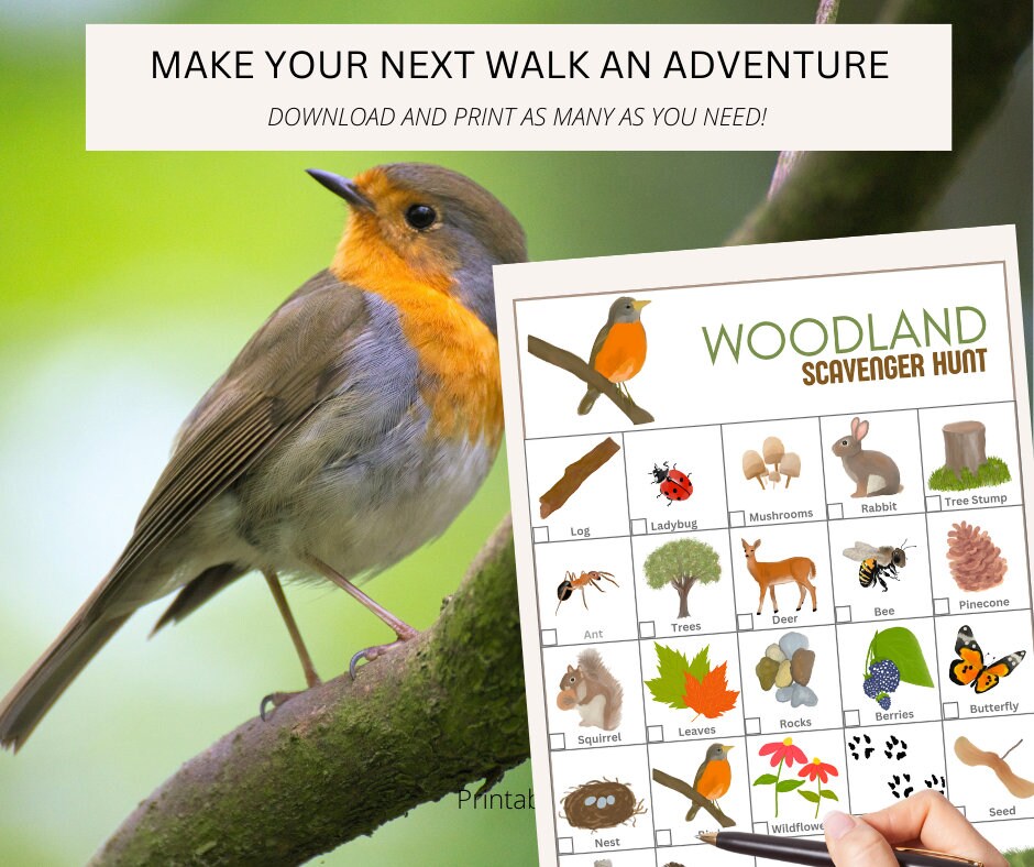 Woodland Scavenger Hunt for Kids: Nature Hike Activity (digital ...